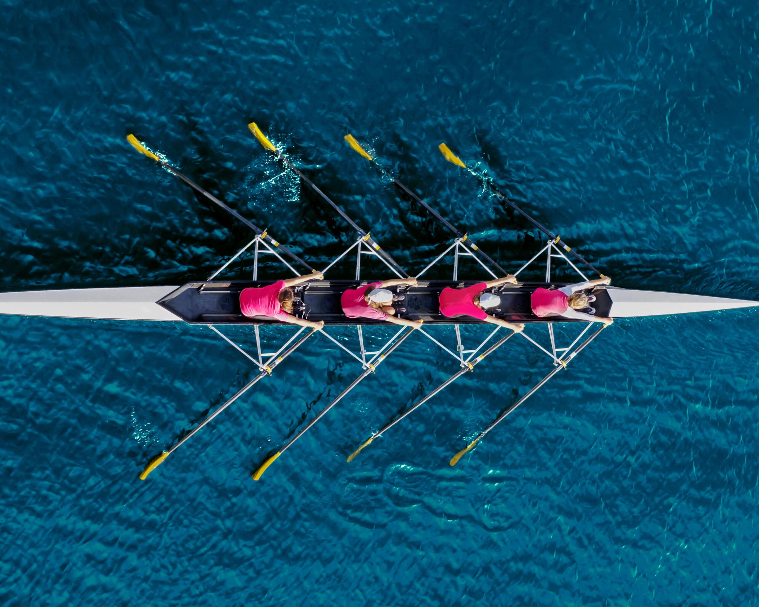 WaveTech Announces new Board of Directors - WaveTech